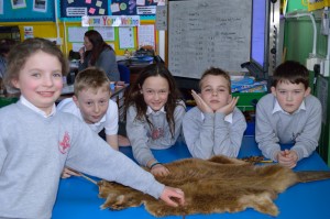 School visits and presentations - Scottish Wild Beaver Group